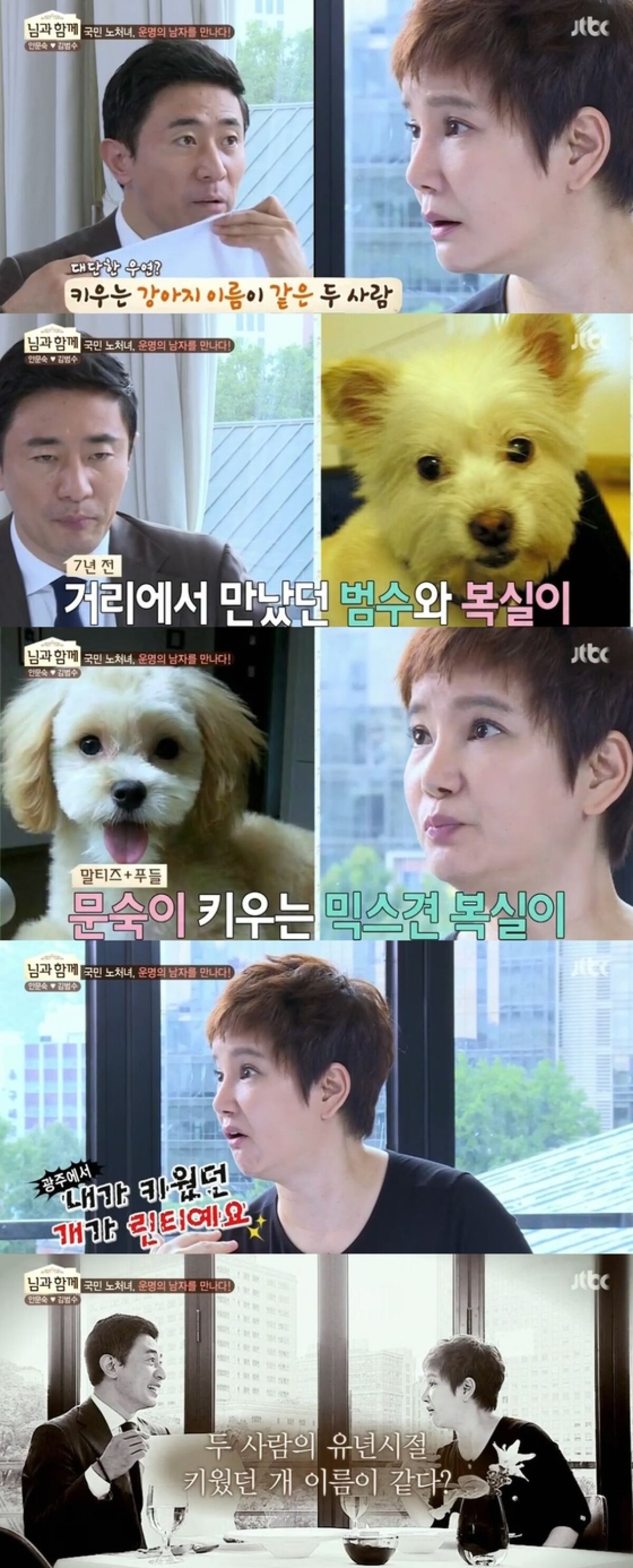 '님과 함께' 김범수·안문숙, 키우는 개 이름·종마저 같았다 '소름' - 뉴스1