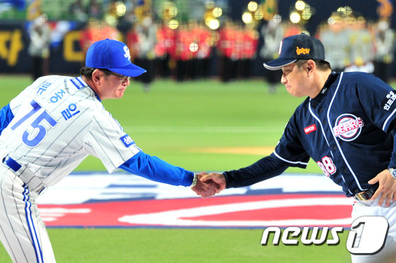 사자와 곰의 만남 - 뉴스1