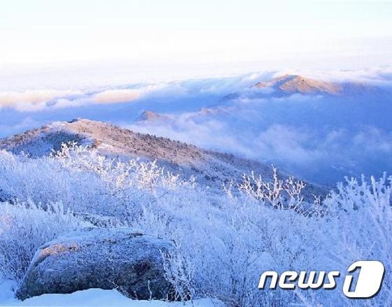 순백의 눈으로 가득한 남도의 겨울 산행 - 뉴스1