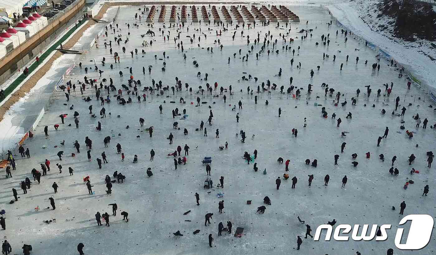 [화보] 홍천강 인삼송어축제 성황리 개막 뉴스1