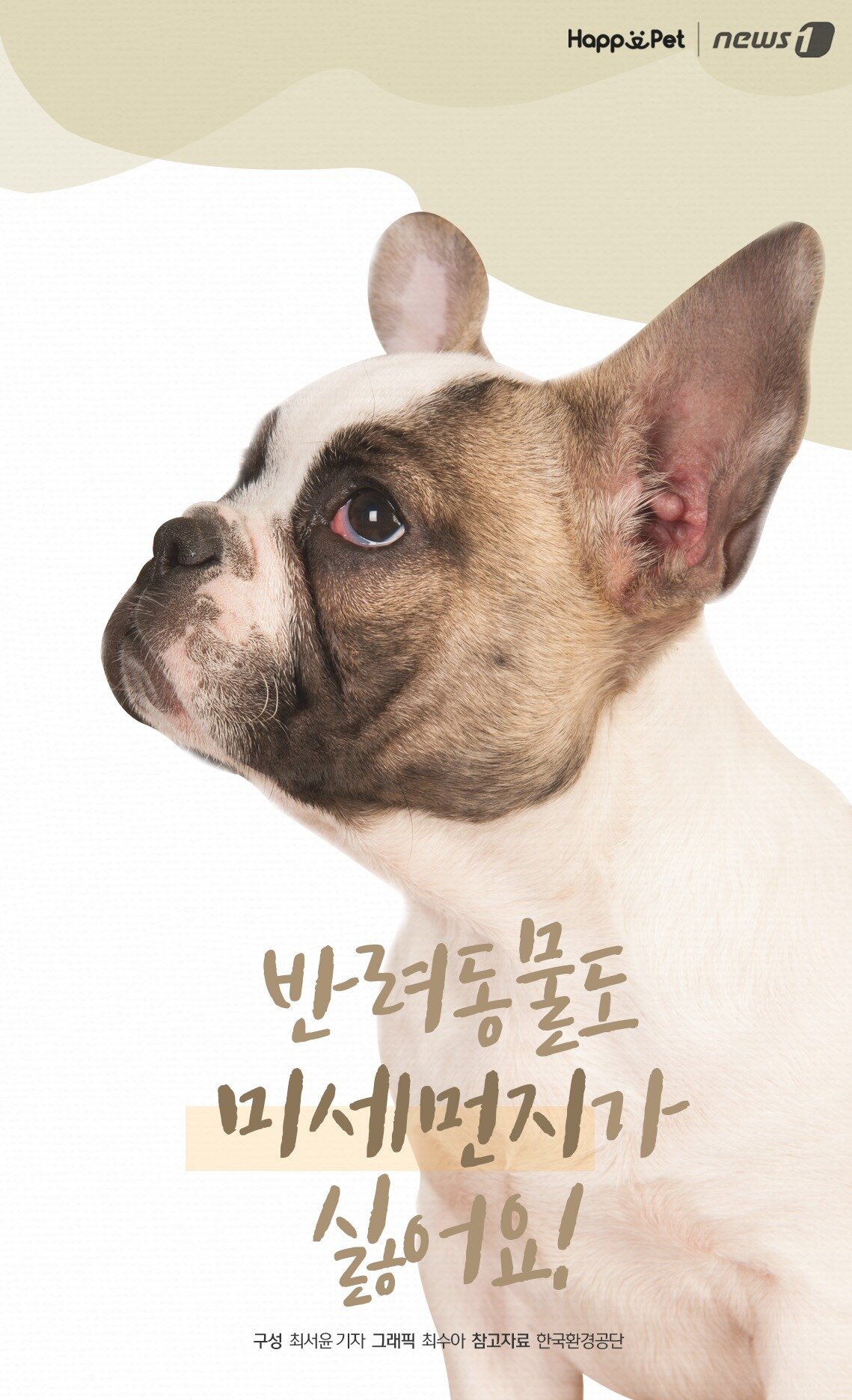 [펫카드] 사랑하는 반려동물 위한 미세먼지 대처법 - 뉴스1