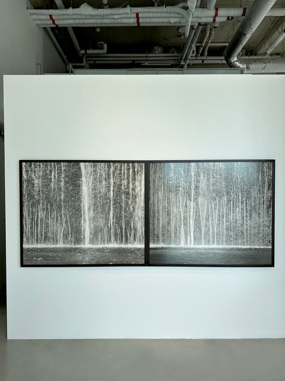 Experience the Timeless Beauty of Min Byung-hun's 'Hand Photography' at ...