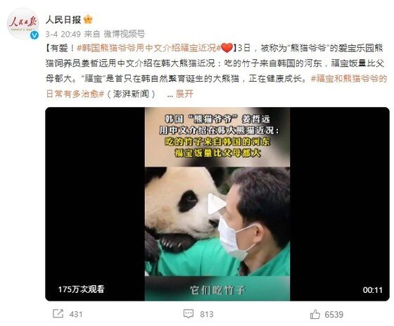 귀여워 귀여워용인 푸씨 판다 영상에 中누리꾼 열광 뉴스1 