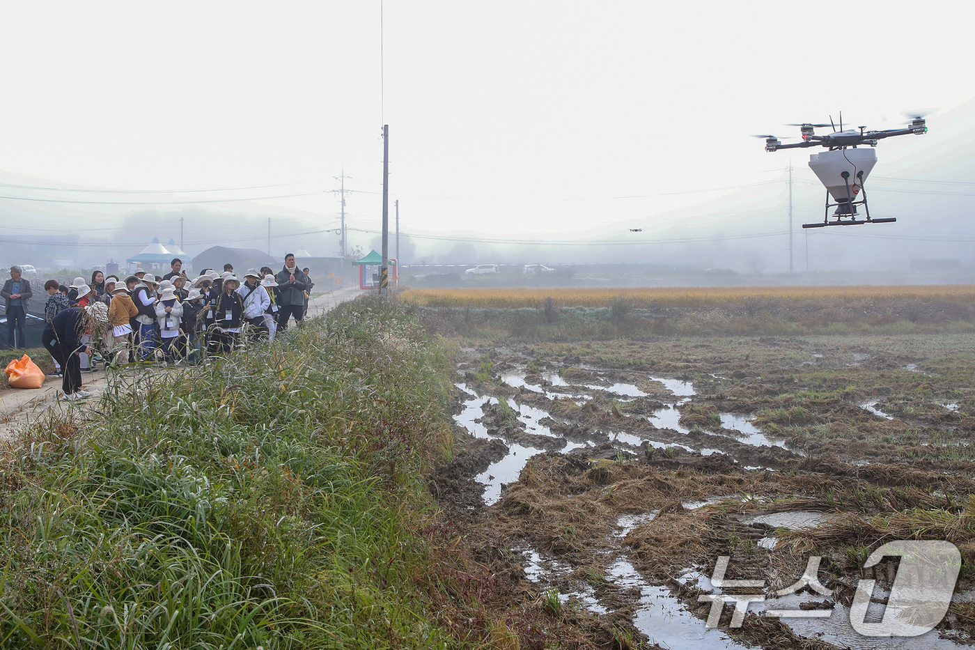 '드론으로 철새 먹이 주기' - 뉴스1
