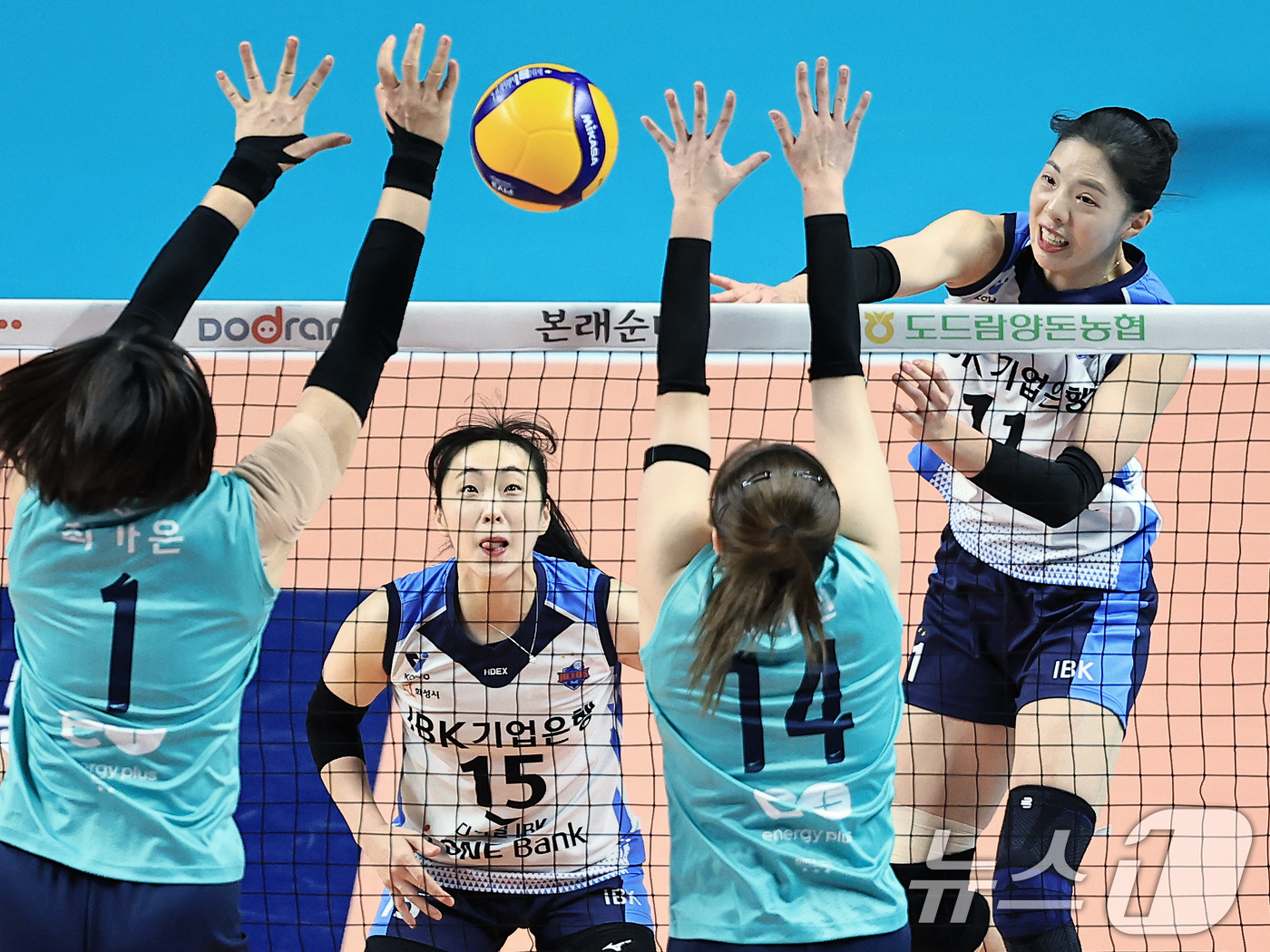 육서영 '뚫었다' - 뉴스1