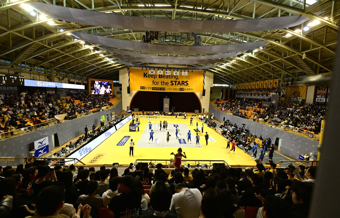 대학교에서 임시 홈 경기 KB손보, 한국전력에 3-0 완승…4위 도약 - 뉴스1