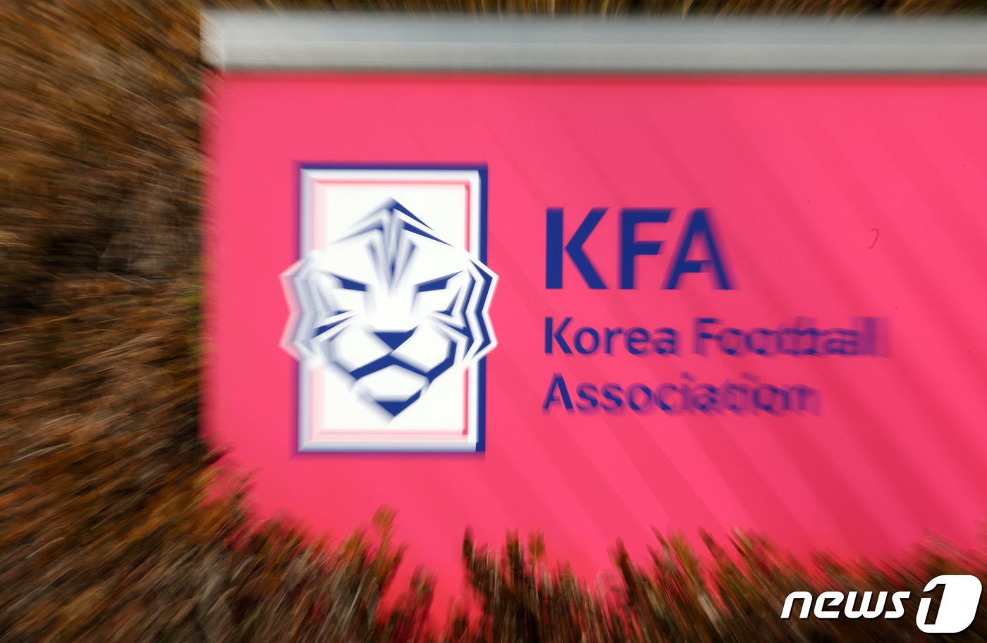 '혼돈의 KFA' - 뉴스1