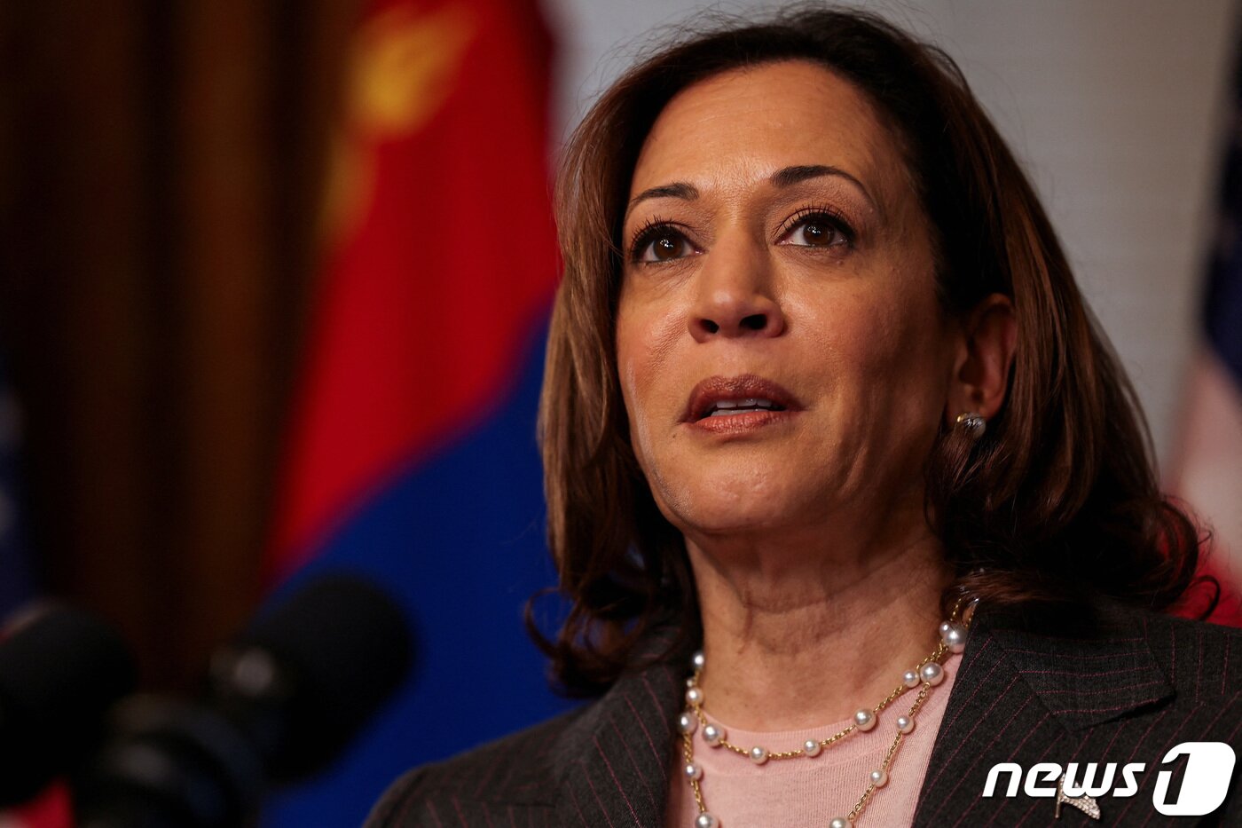 美유권자 67% "바이든, 재선하기엔 너무 고령"…대안 후보 누가 있나② - 뉴스1