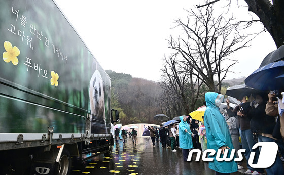 잘가 우리의 영원한 아기 판다 푸바오 뉴스1