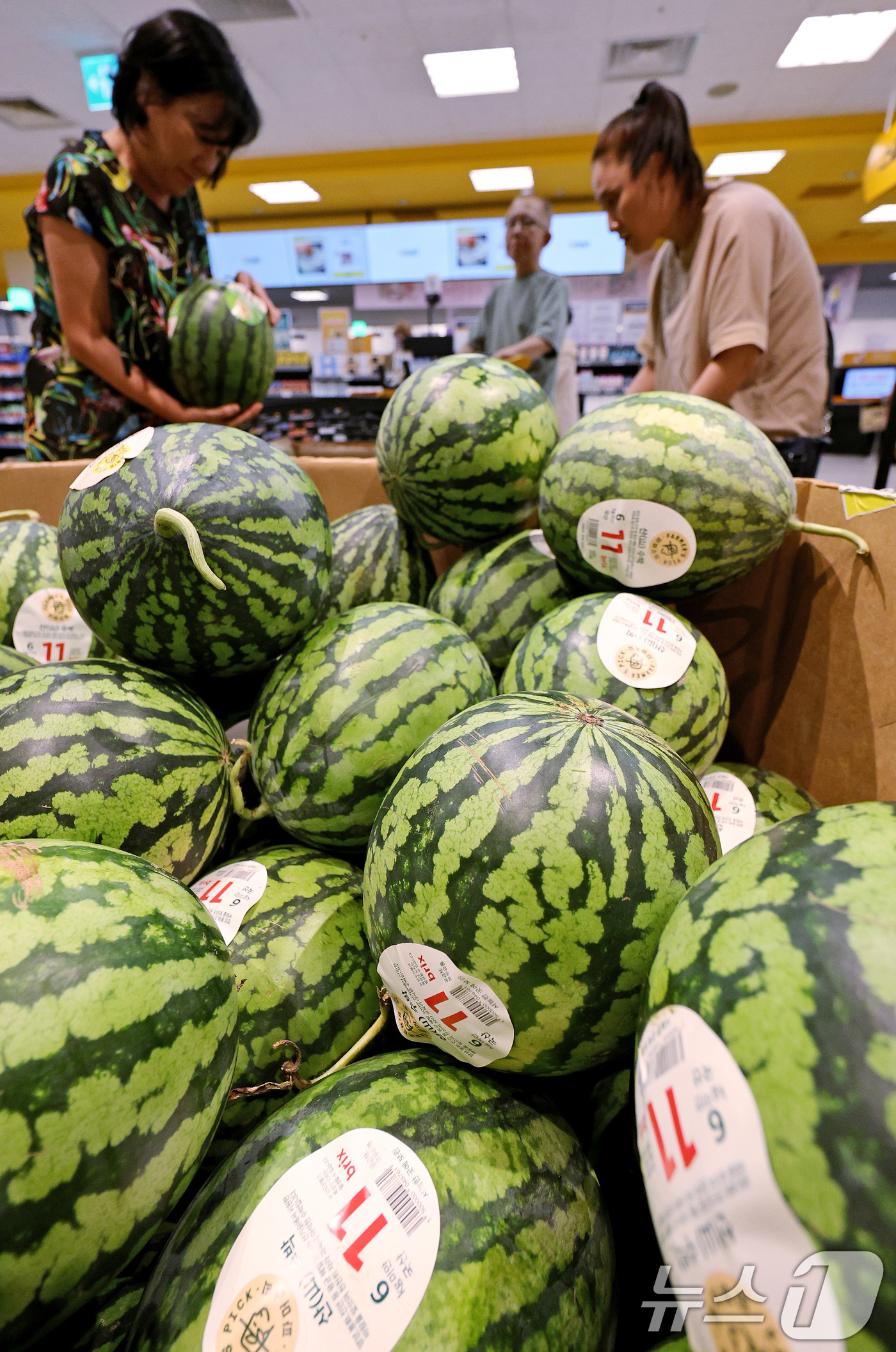 햇과일 출하로 전월보다 소폭 하락한 과일 가격 - 뉴스1