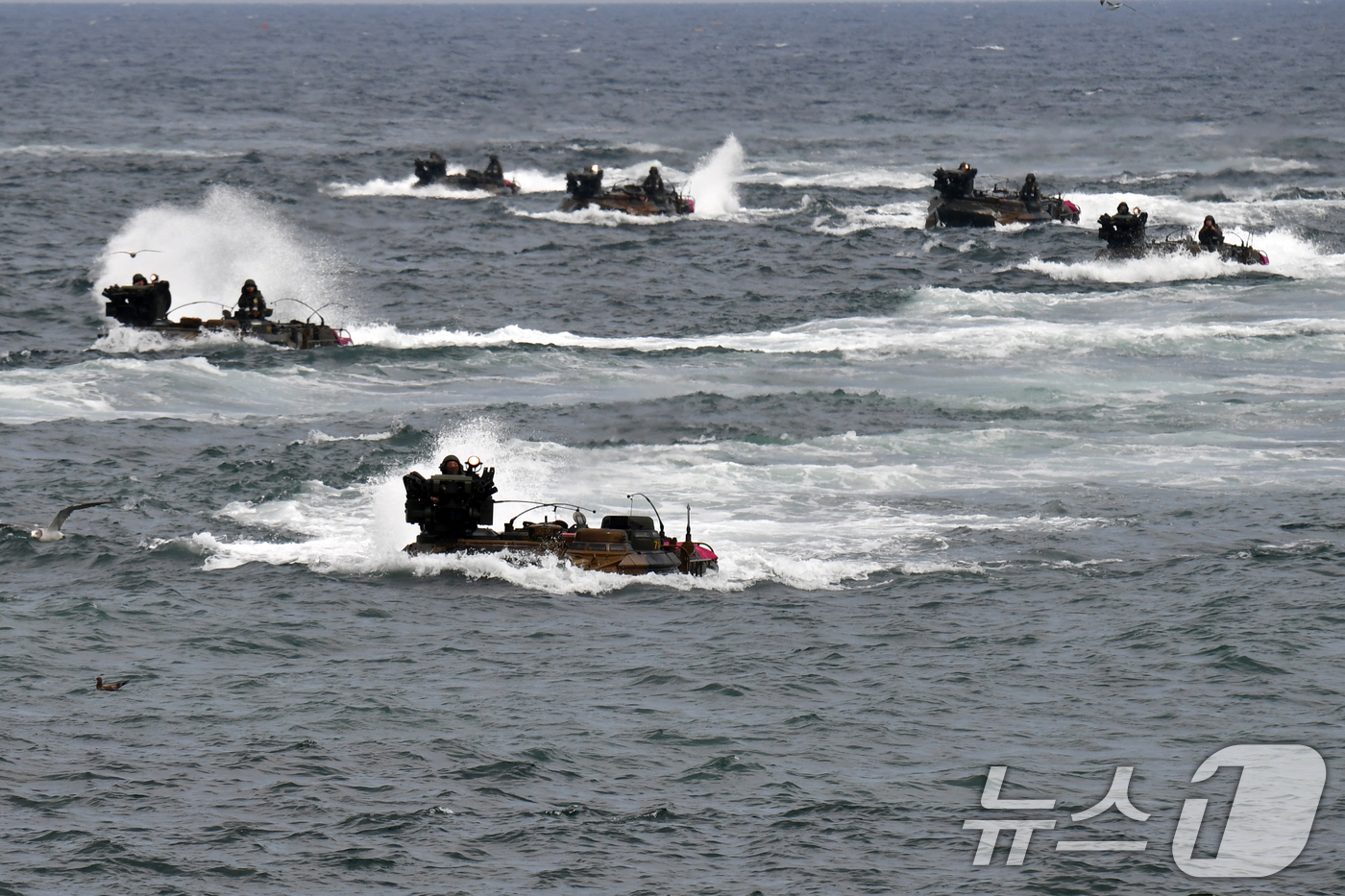 돌격 선봉장이 된 KAAV - 뉴스1