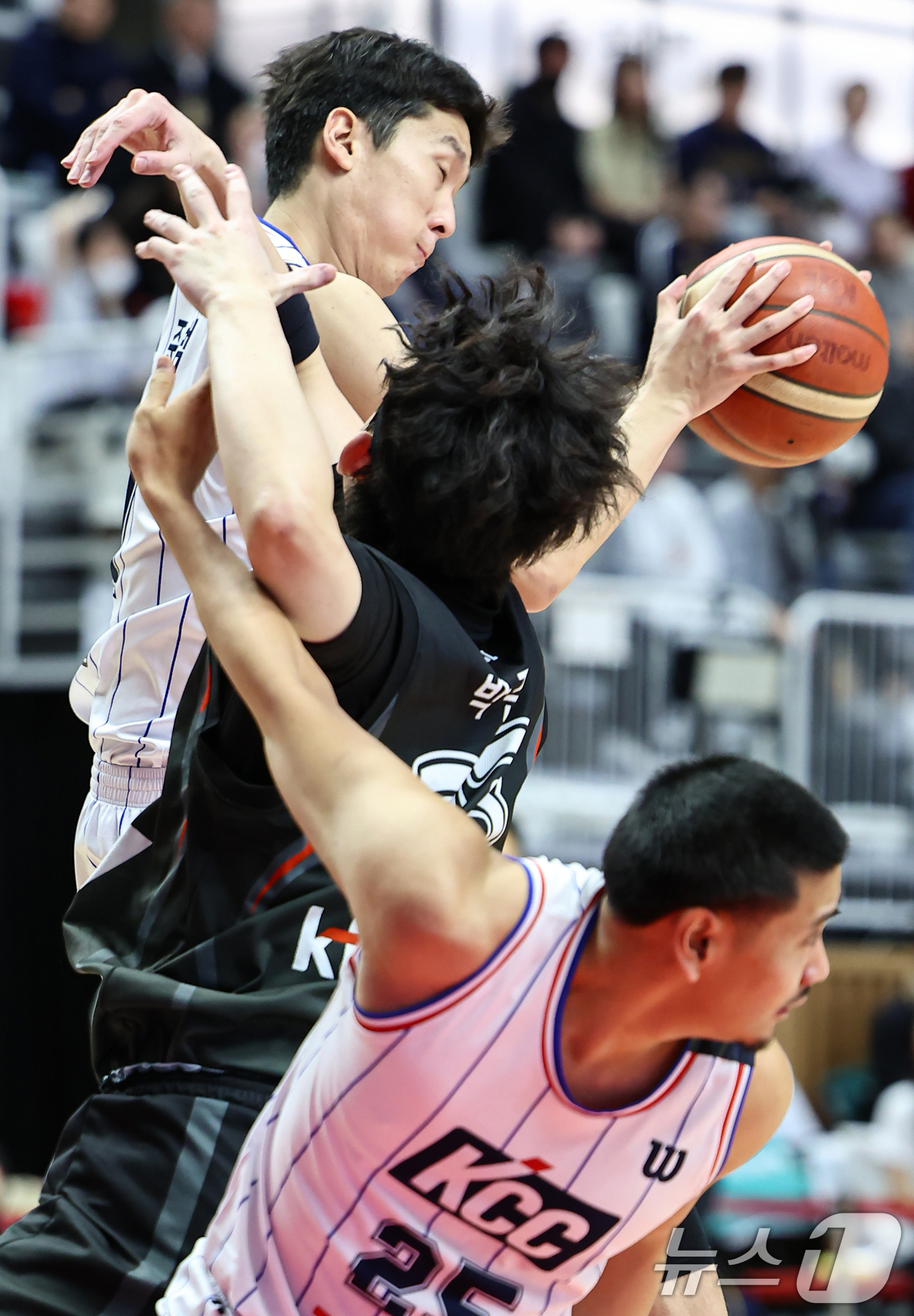 '공의 주인은?' - 뉴스1