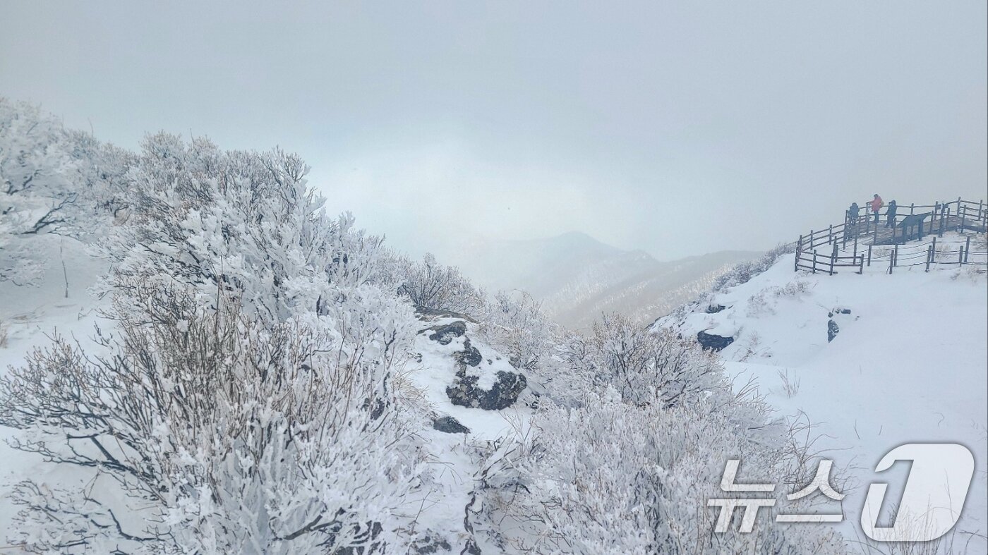 "여기가 겨울왕국" 지리산 노고단 눈부신 '설경' - 뉴스1