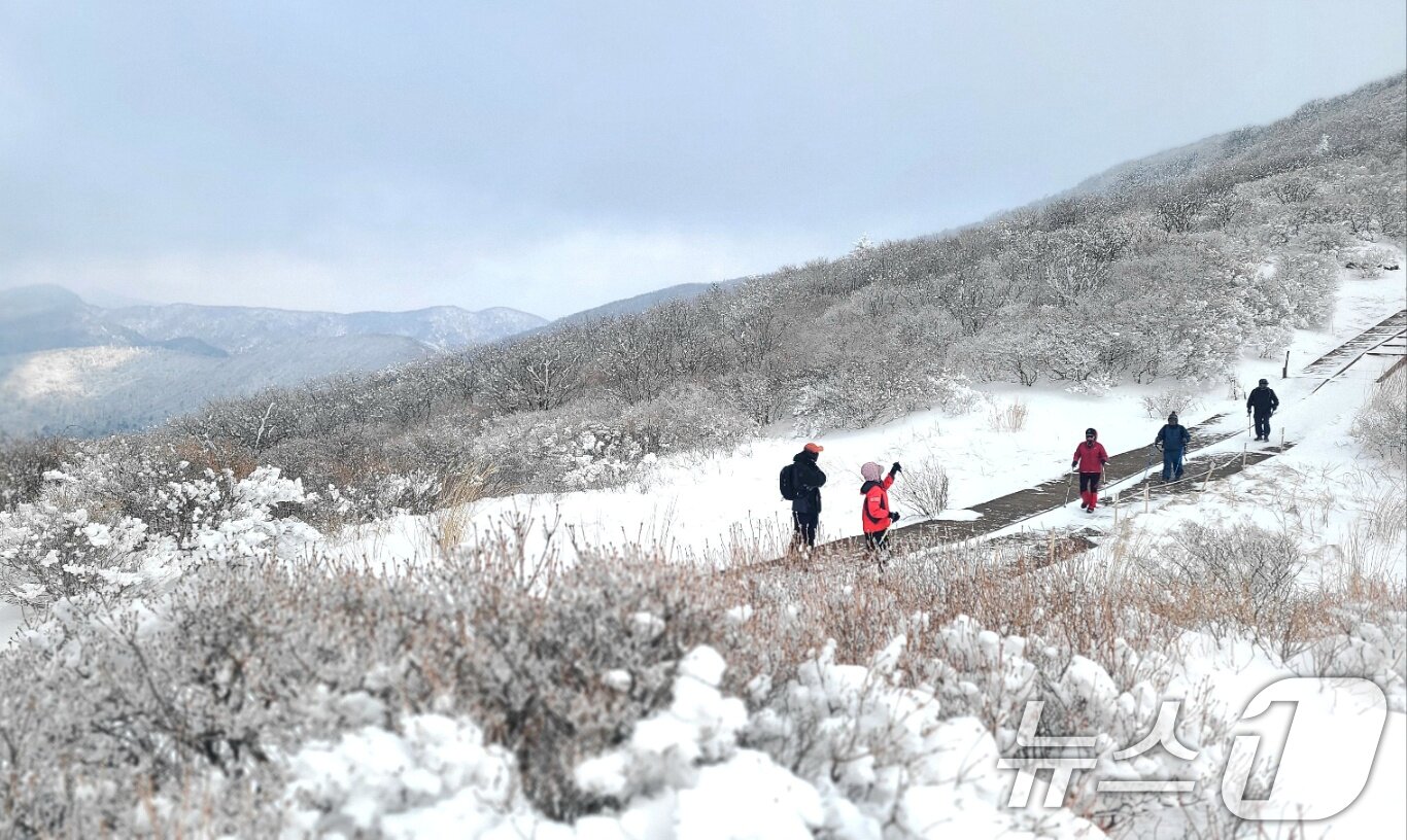 "여기가 겨울왕국" 지리산 노고단 눈부신 '설경' - 뉴스1