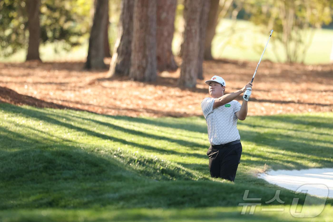 김시우, 플레이어스 챔피언십 2R 36위…호주 교포 이민우 공동 선두 - 뉴스1