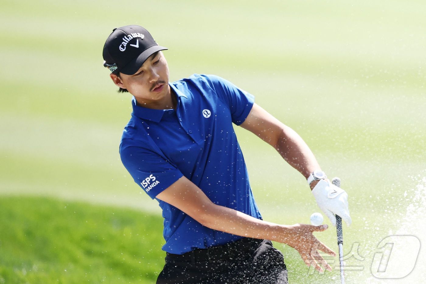 김시우, 플레이어스 챔피언십 2R 36위…호주 교포 이민우 공동 선두 - 뉴스1