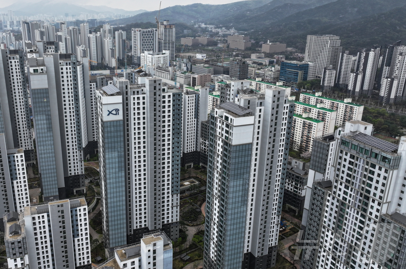 '강남 옆세권' 과천 아파트 주간 상승률 전국 최고 - 뉴스1