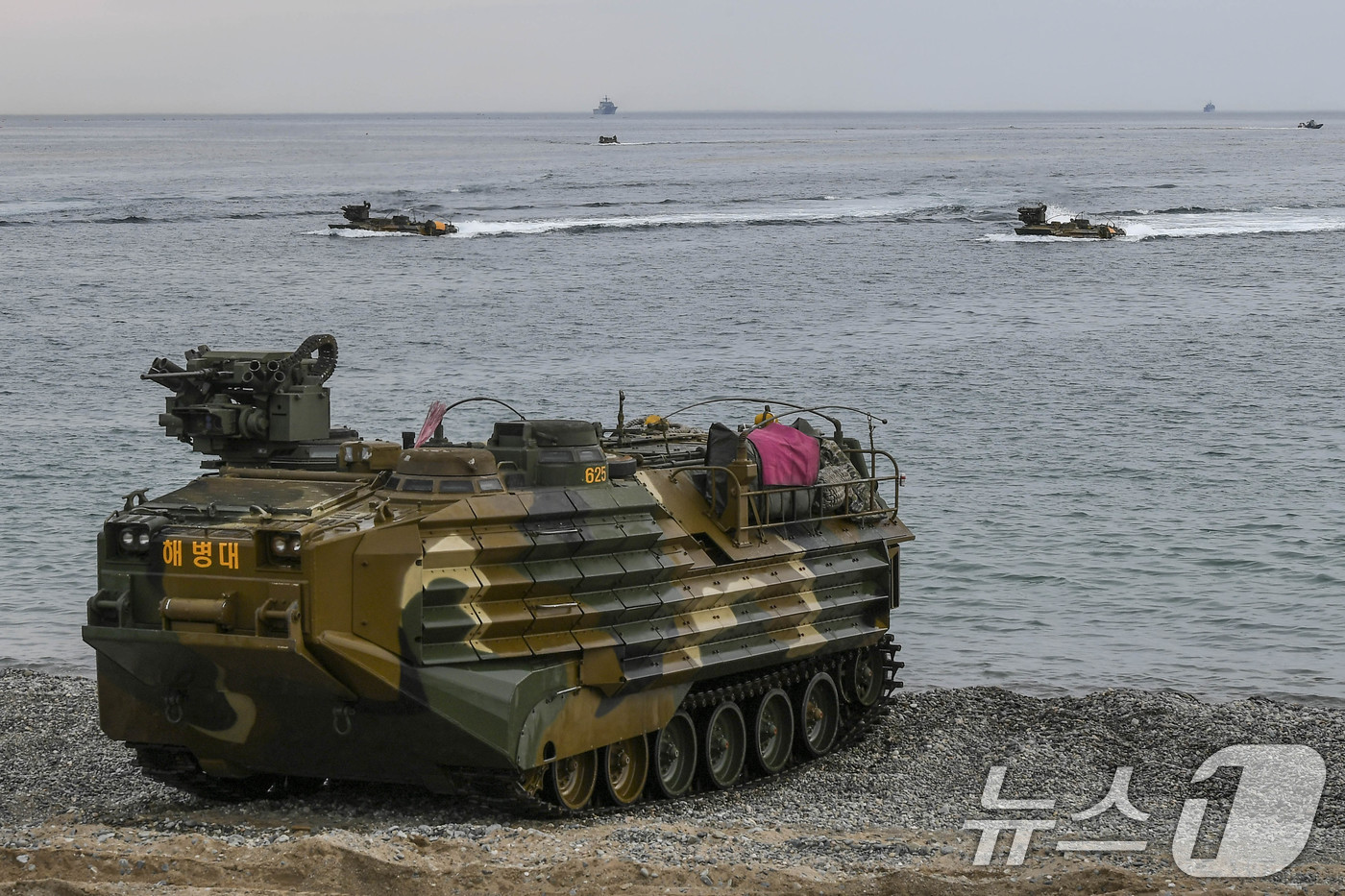해안 상륙하는 상륙돌격장갑차 - 뉴스1
